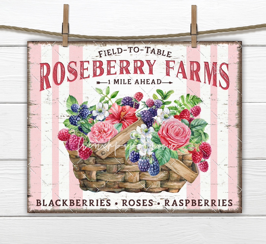 Farmhouse Summer Fruit Raspberries Blackberries Pink Roses Fruit Basket ...