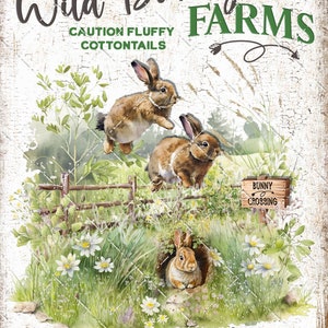Bunny Crossing Wild Rabbit Farm Spring Meadow Bunny Burrow DIY Sign ...