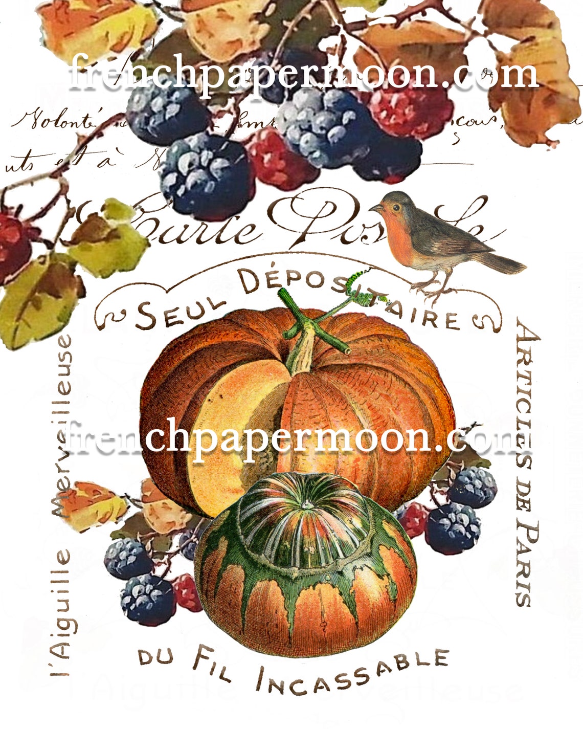 Vintage French Pumpkin Digital Pumpkins Woodland Fall - Etsy