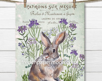 Digital French Bunny Easter Bunny Spring Rabbit Printable | Etsy