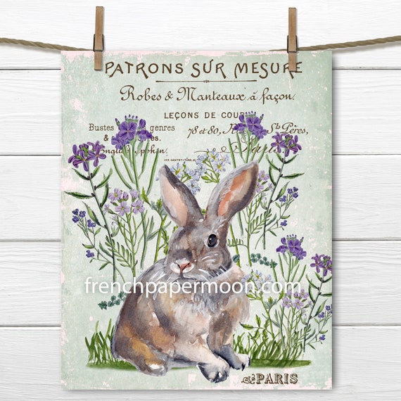 French Bunny Rabbit Easter Bunny Printable Vintage - Etsy Canada
