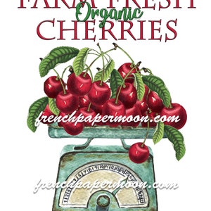 Farmhouse Cherry Digital, Vintage Cherries, Scale, Wood, Shabby Vintage ...