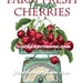 Farmhouse Cherry Digital, Vintage Cherries, Scale, Wood, Shabby Vintage ...