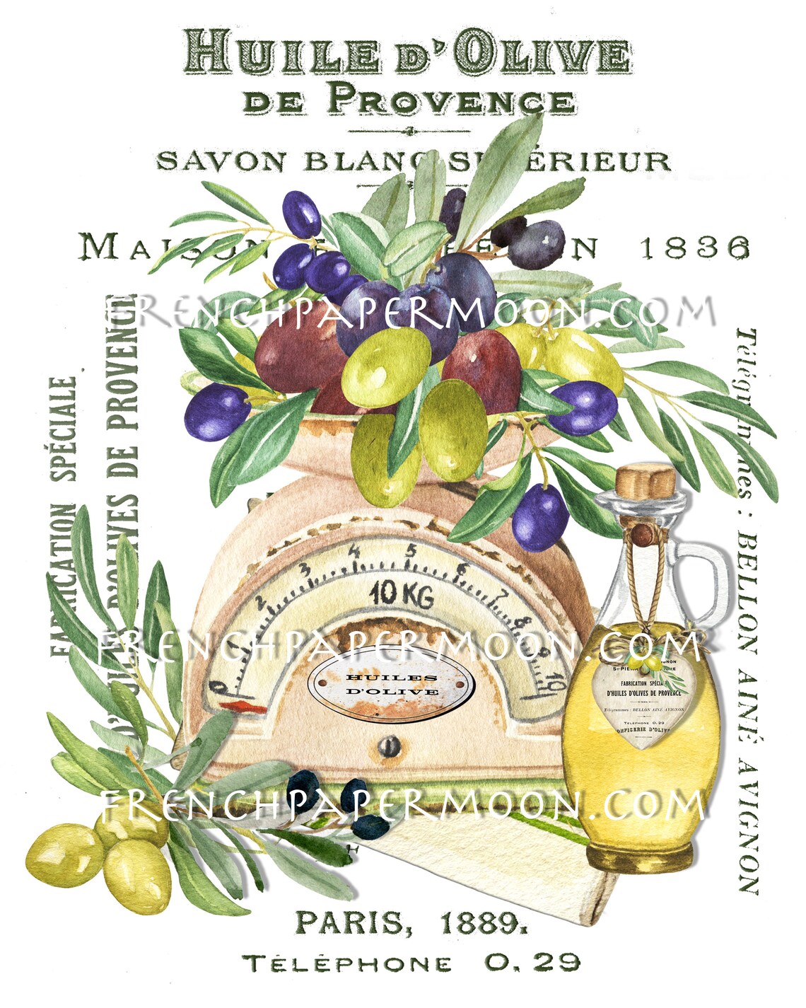 Rustic French Olives, Olive Oil, French Olive Oil Ephemera, Olives on ...