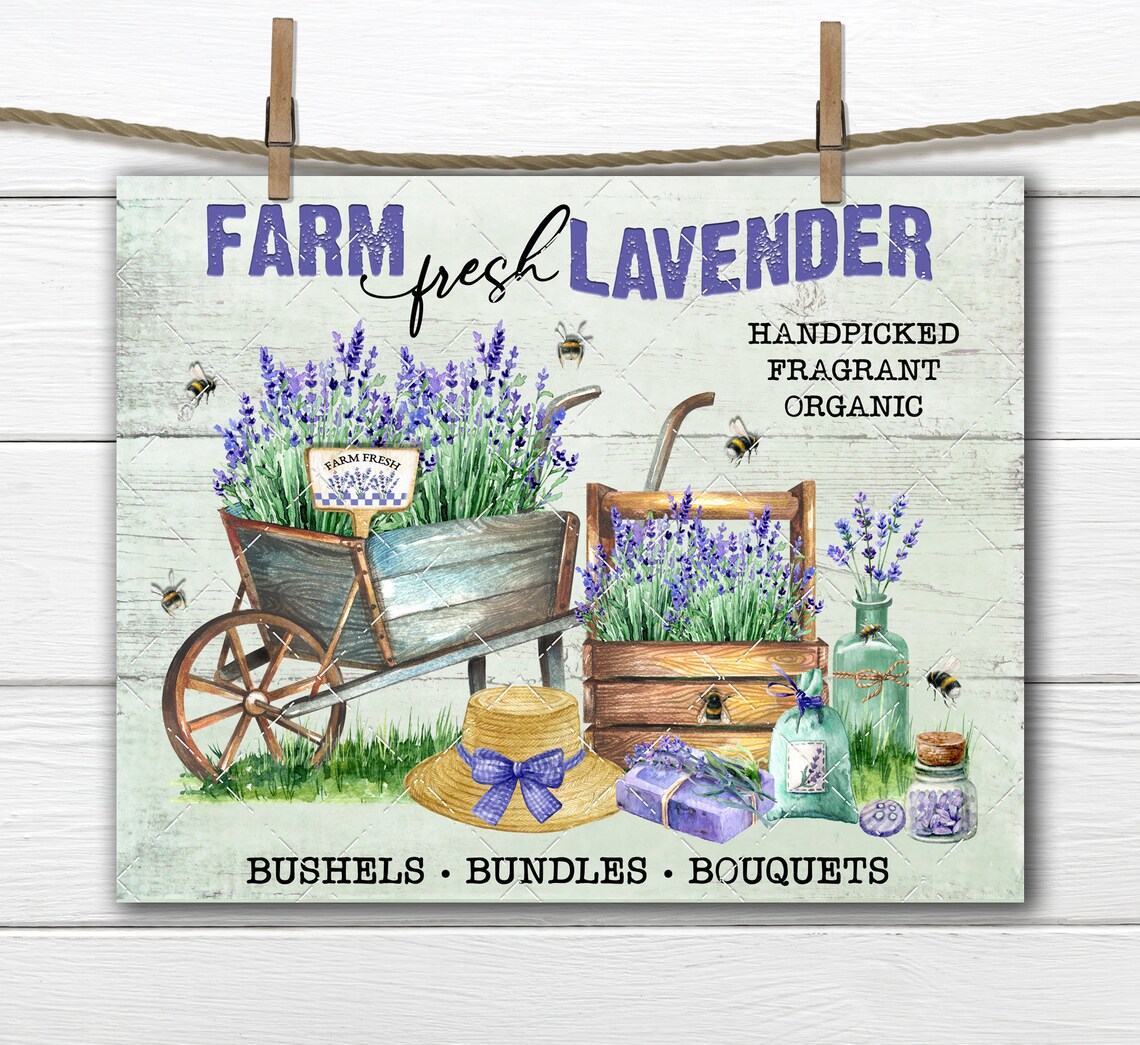 Farmhouse Lavender DIY Sign, Lavender Market, Wheelbarrow Lavender ...