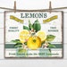 Lemons Modern Farmhouse Digital Botanical Farm | Etsy