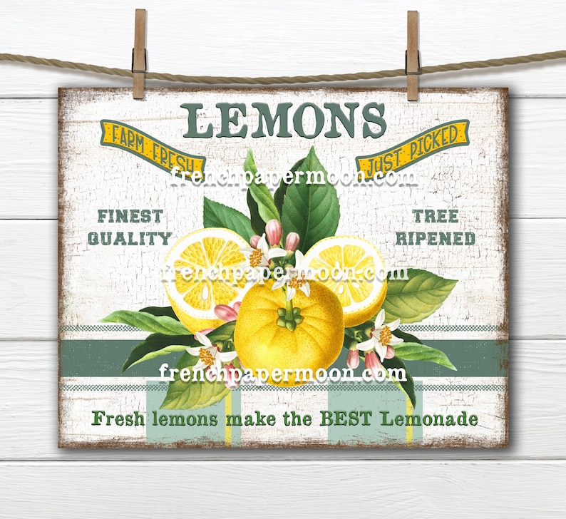 Lemons, Modern Farmhouse, Digital, Botanical, Farm Freshlemons ...