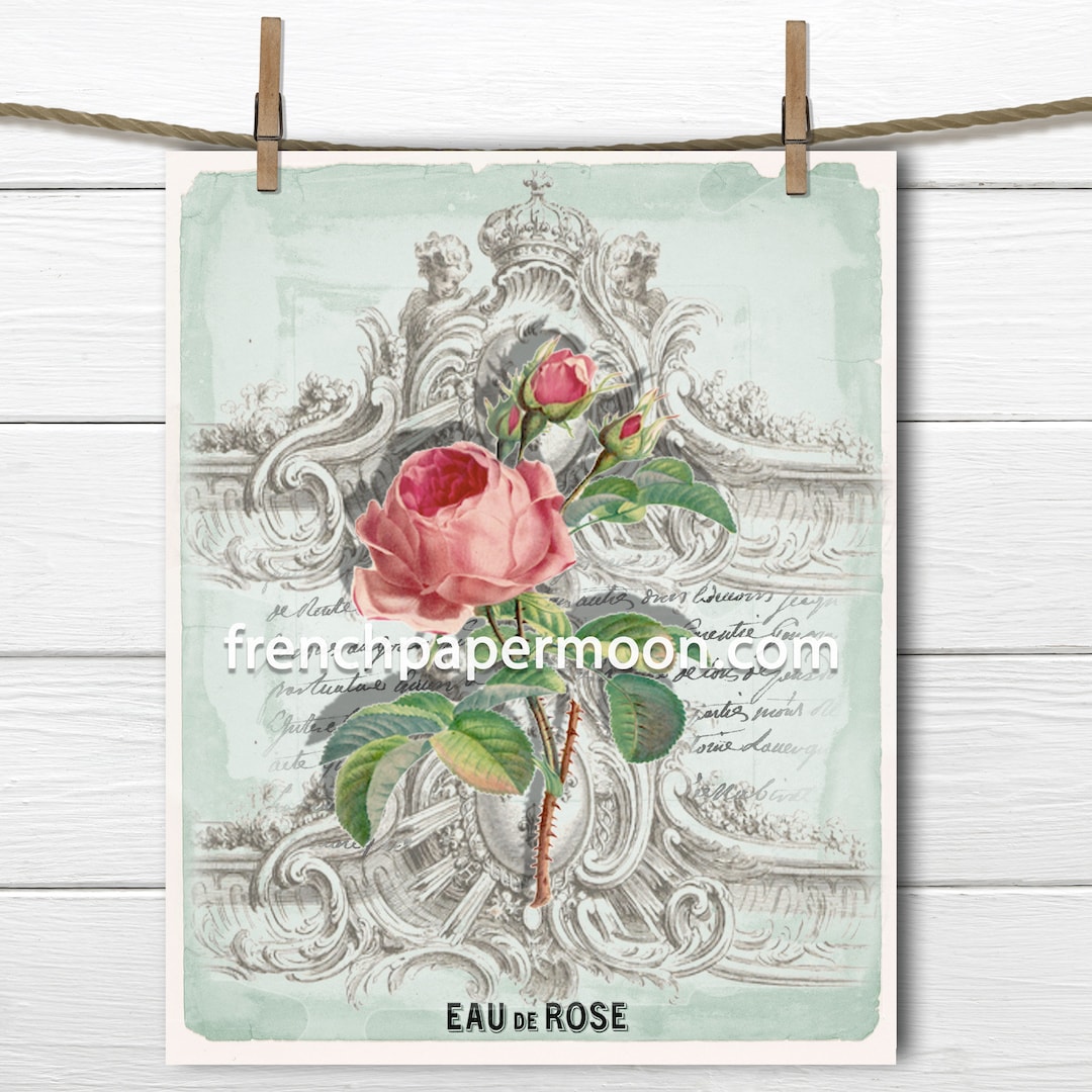 Victorian Rose French Graphic, Antique-style Shabby Rose Botanical ...