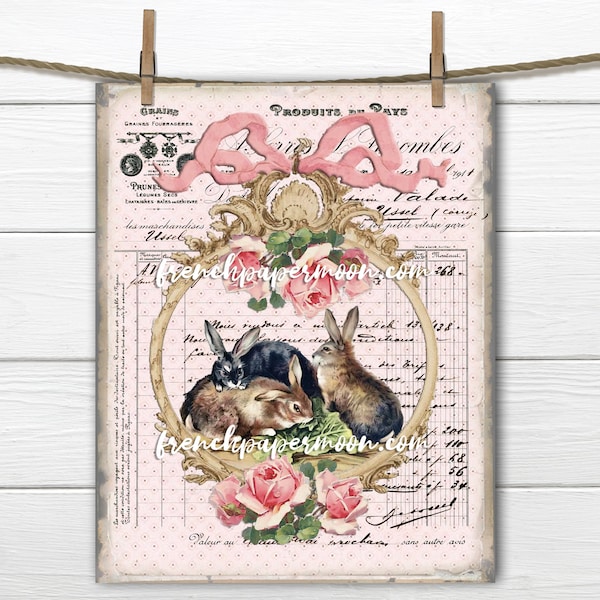 French Rabbit Image - Etsy