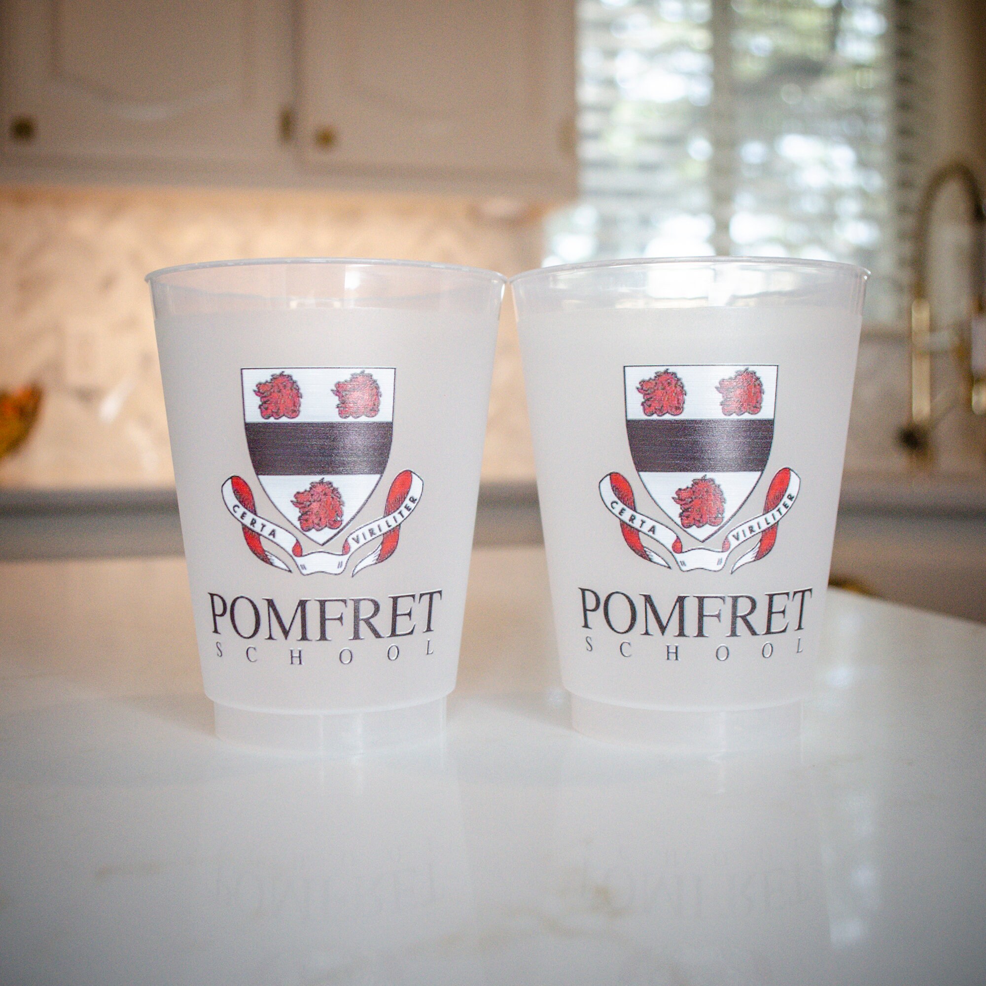 Full Color School Crest Graduation Party Cups Custom Printed - Etsy