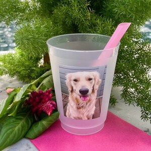 Custom Venue Photo Shatterproof Cups, Personalized Full Color Cups ...