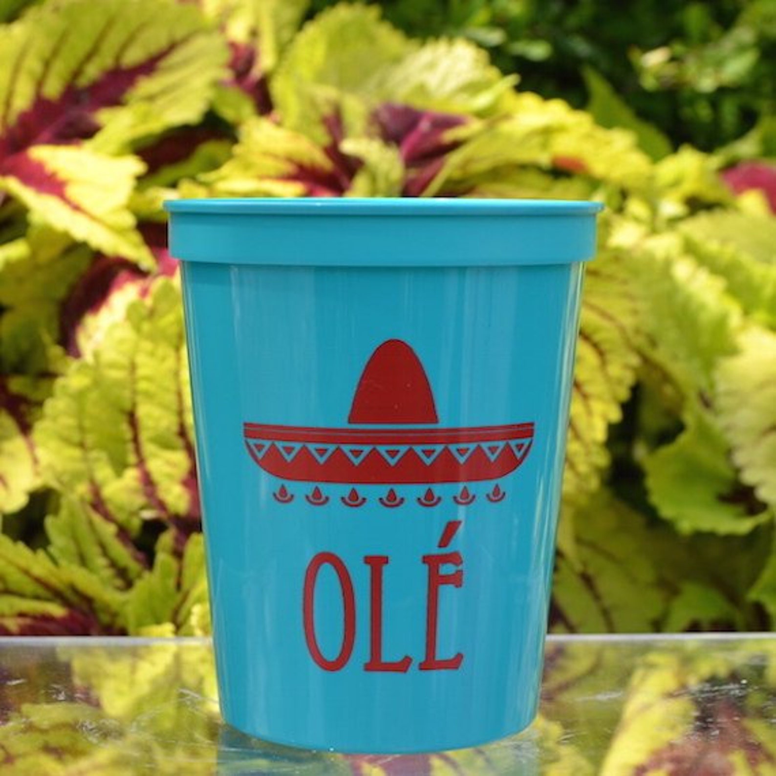 Personalized Fiesta Party Cups Custom Stadium Cups Printed - Etsy
