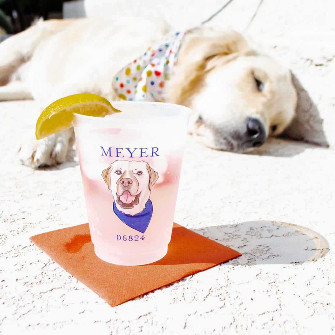 Full Color Shatterproof Cups, Watercolor Art Cups, Frosted Plastic Cups ...
