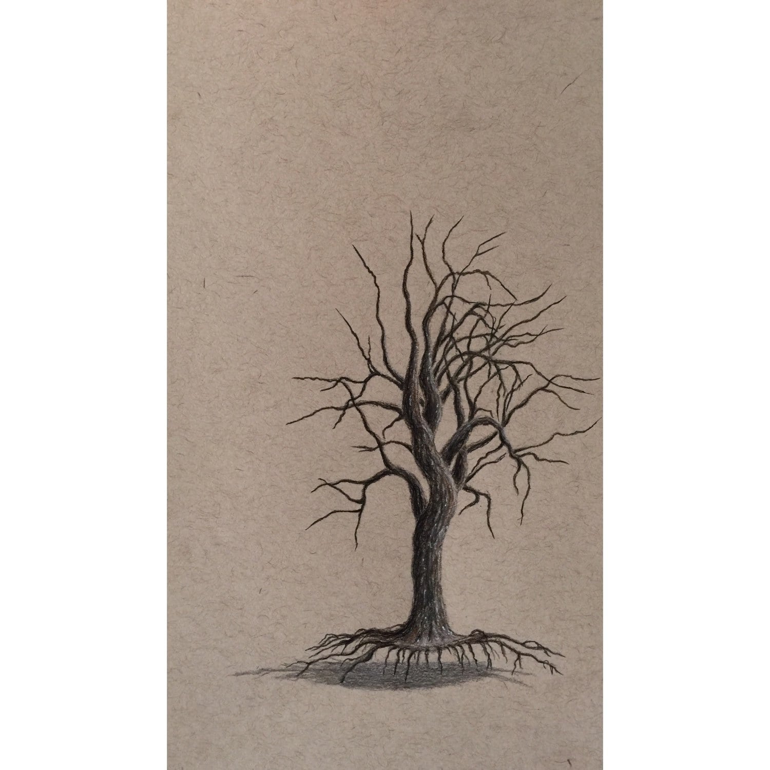 Withered Tree Drawing