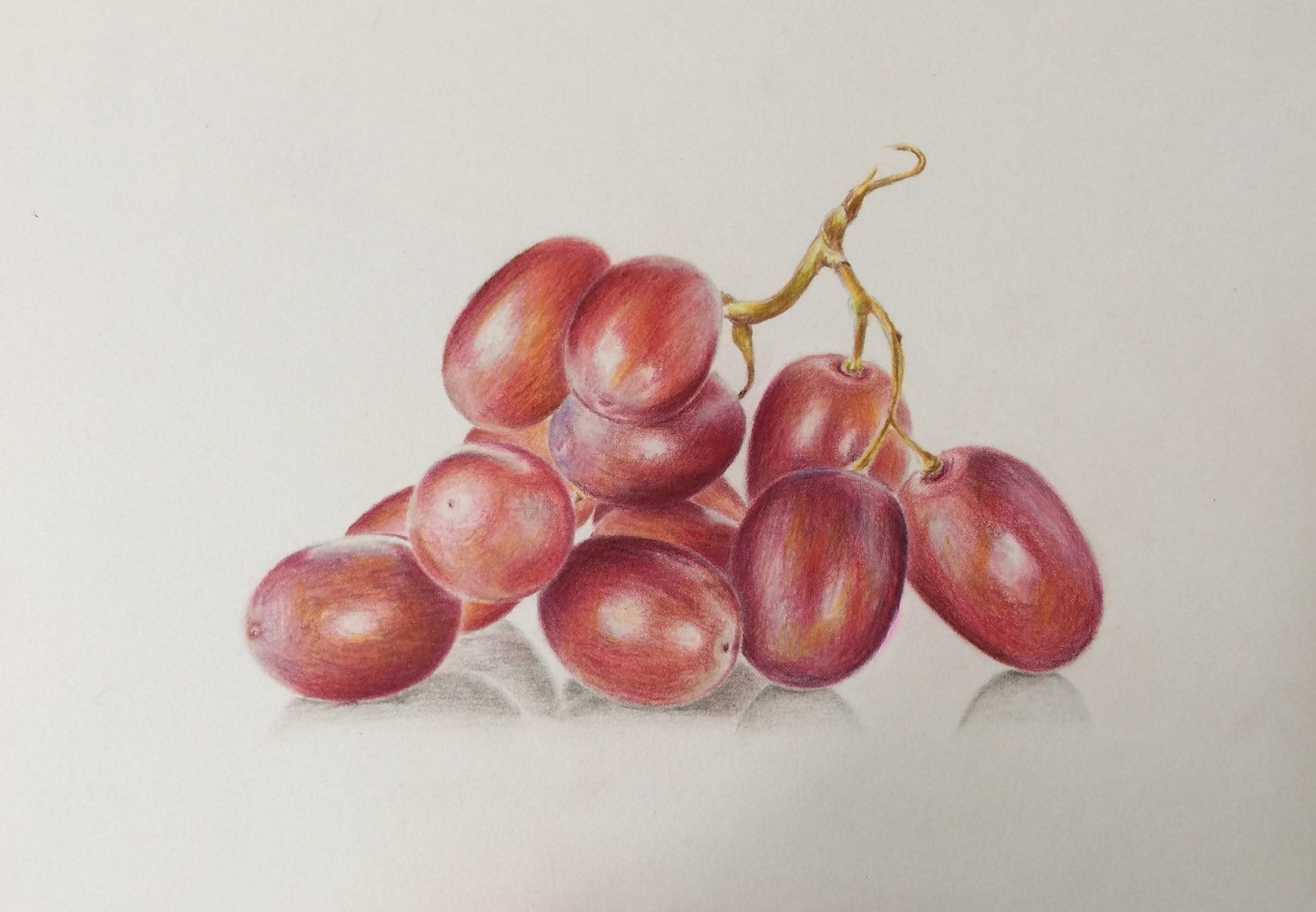 Grapes Pencil Drawing