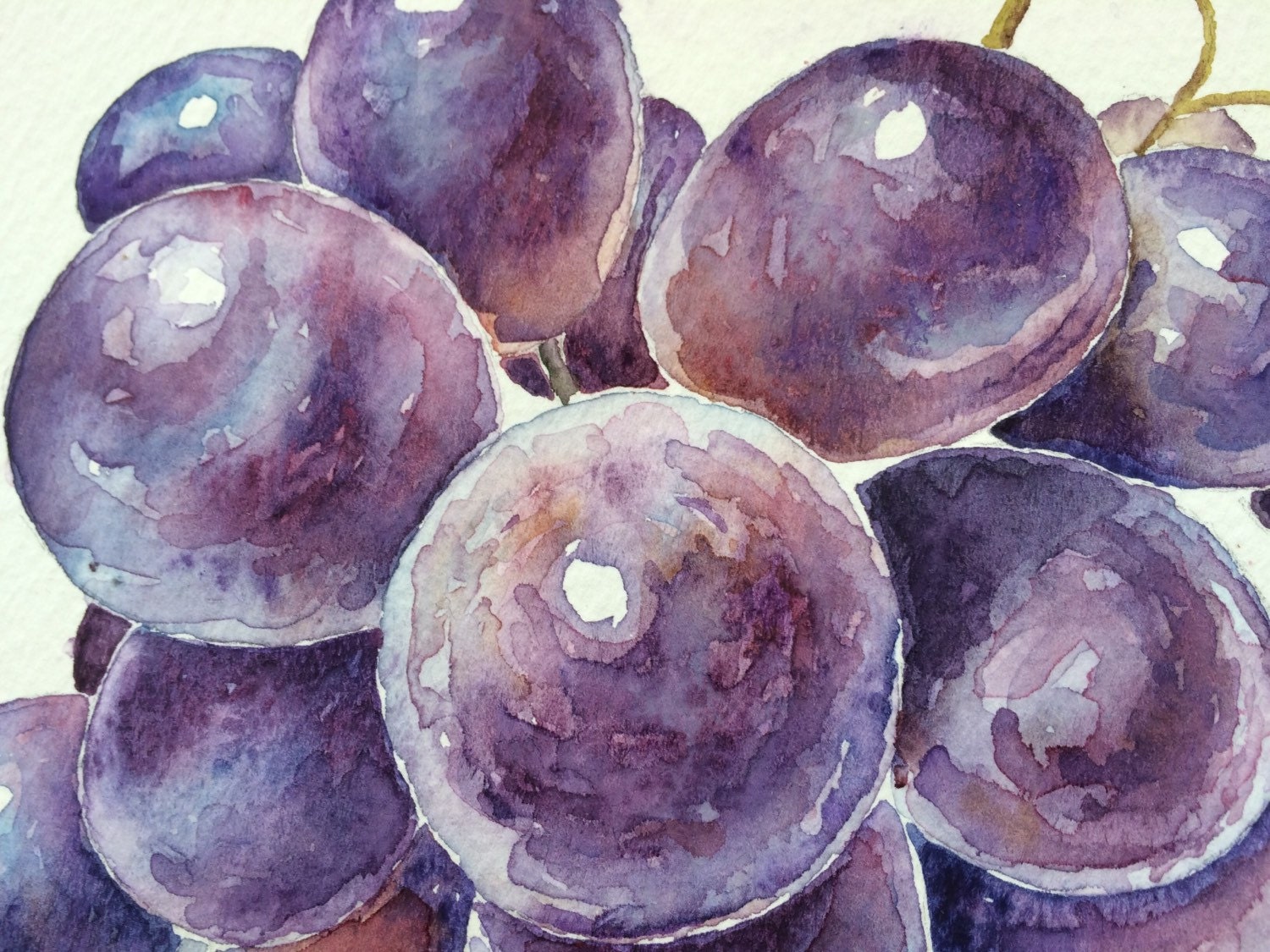 Kitchen Art Grapes Watercolor Painting,still Life Art,watercolor Art ...