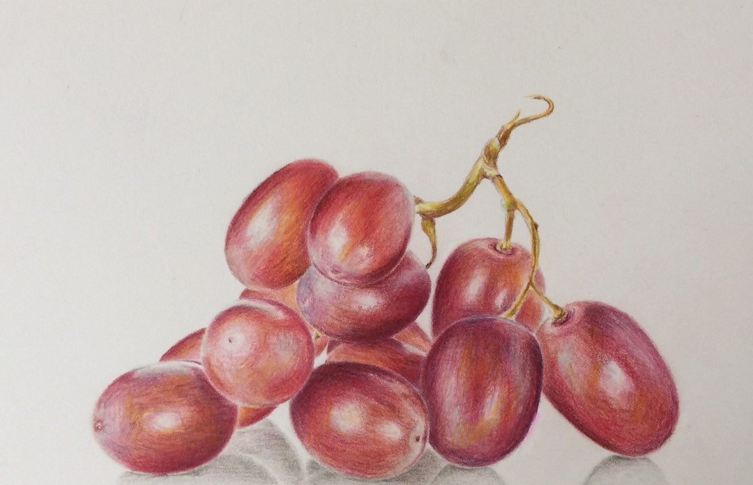 Colored Pencil Grapes Drawing - Original Art - Still Life Painting ...