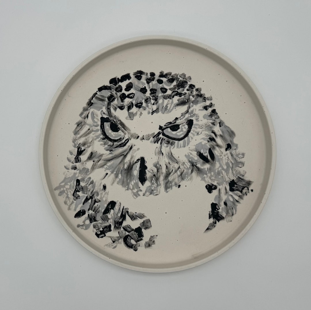 Snow Owl Round Tray in Jesmonite - Etsy