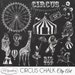 Circus Chalk Clip Arts "circus CHALK Clipart" 20 Hand Drawn Chalk ...