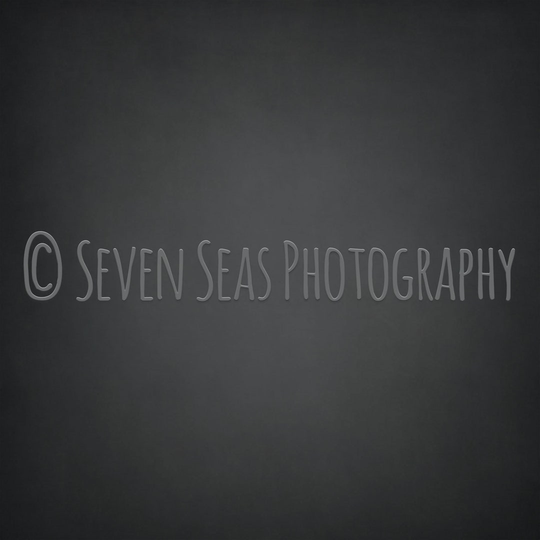 WARPED Digital Background for Photography, Video, Newborns, Portraits ...