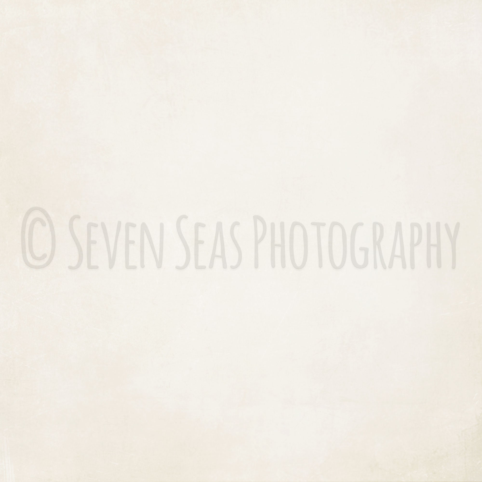 9 BEIGE Digital Backgrounds, Textures, Overlays, Photography, Video ...