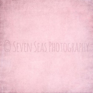 8 Pink Digital Backgrounds for Photography, Video, Portraits, Graphic ...