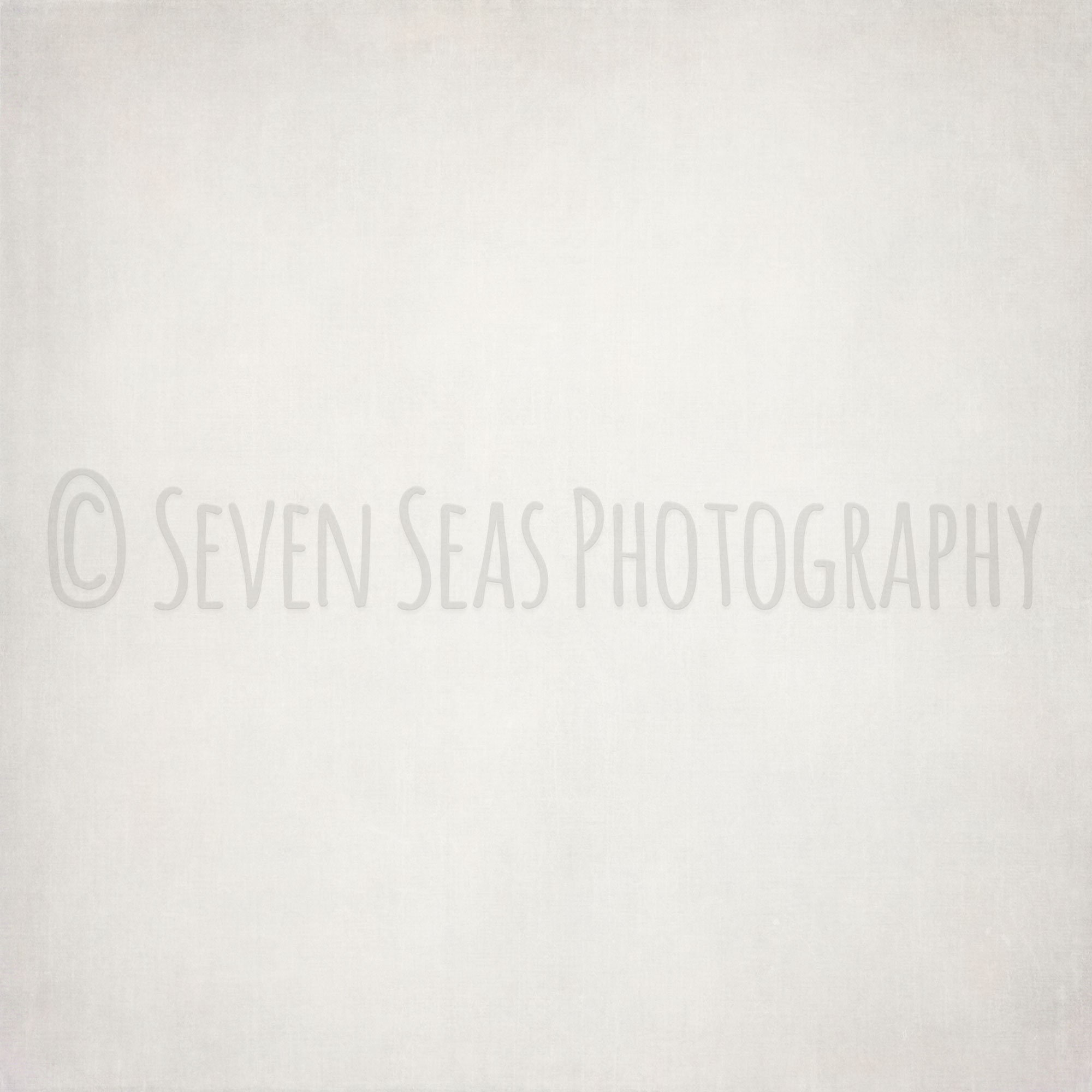 9 Light Neutral Digital Backgrounds, Textures, Overlays, Photography ...