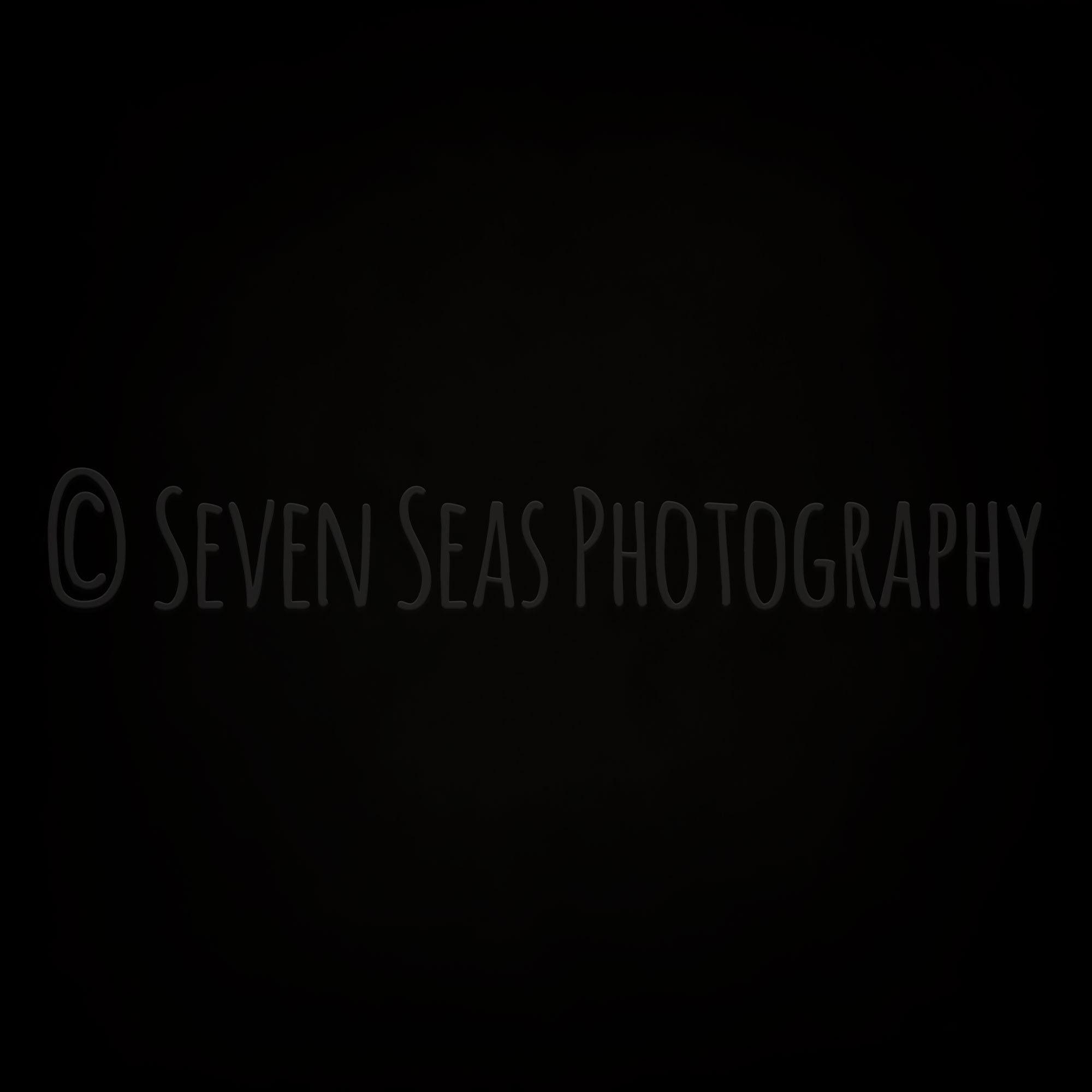 9 BROWN Digital Backgrounds (+ 1 Free!), Texture Overlay, Photography ...