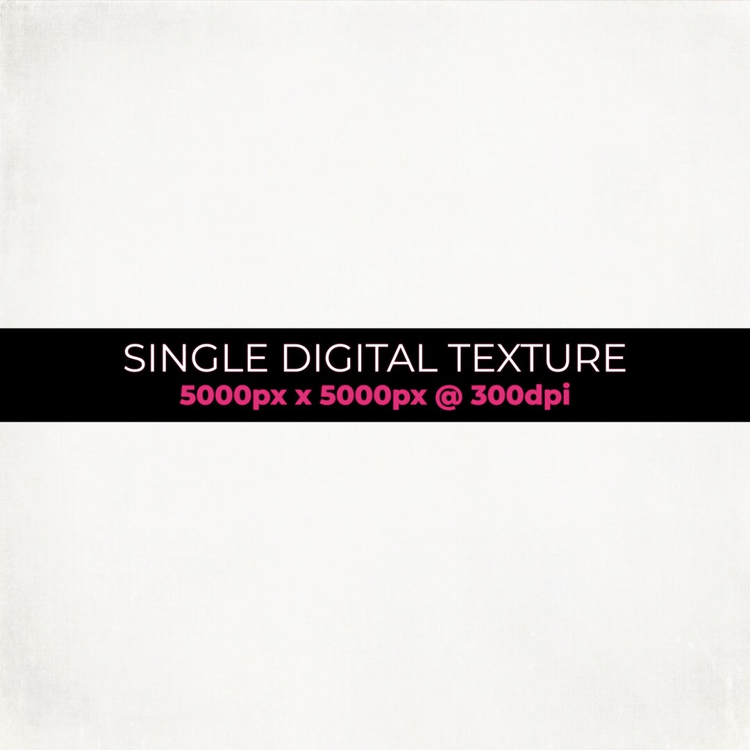 WHITE LIGHT - Digital Background for Photography & Video, Portrait ...