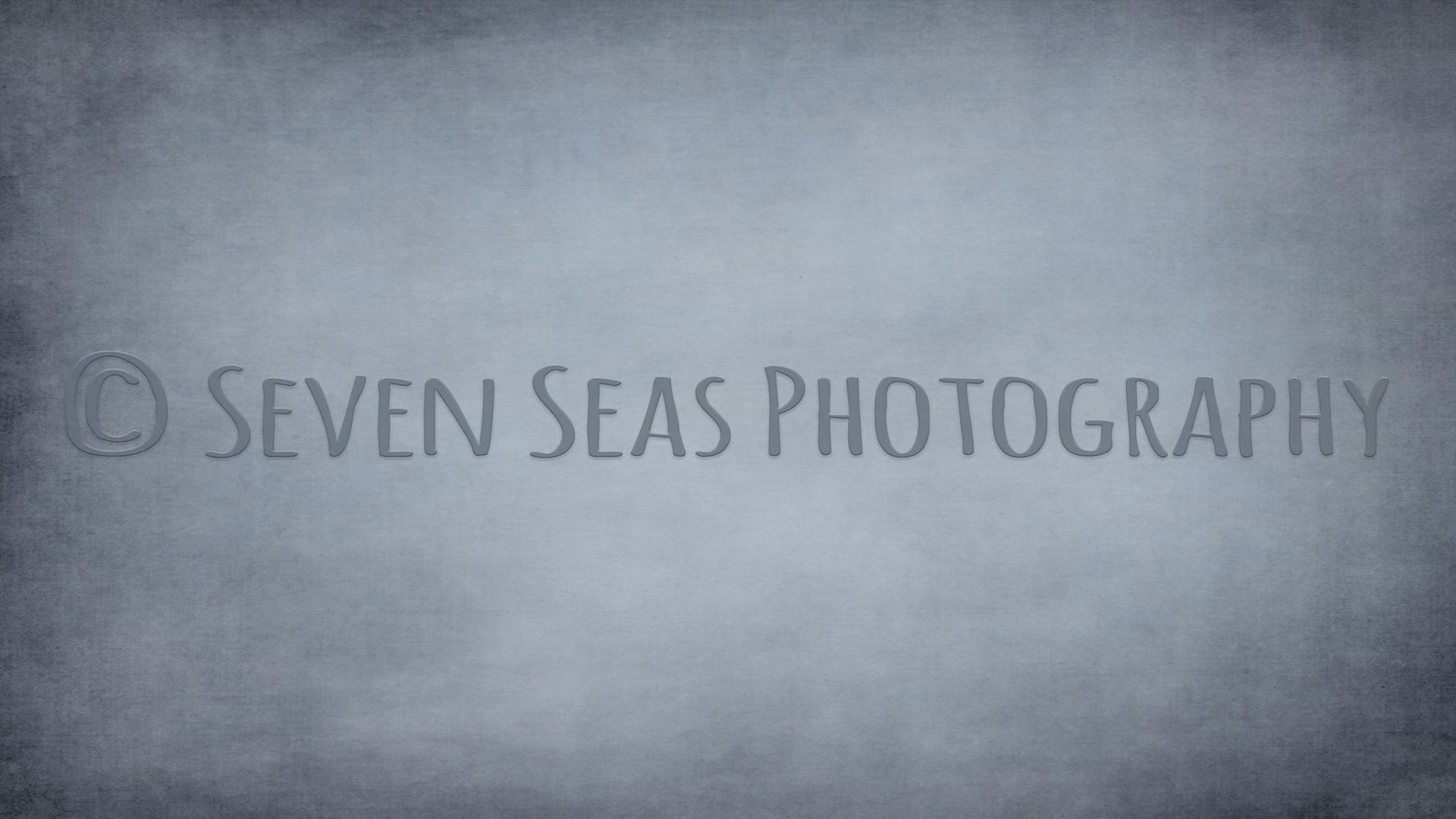 COOL GREY Digital Background Photo / Video Backdrop | Etsy