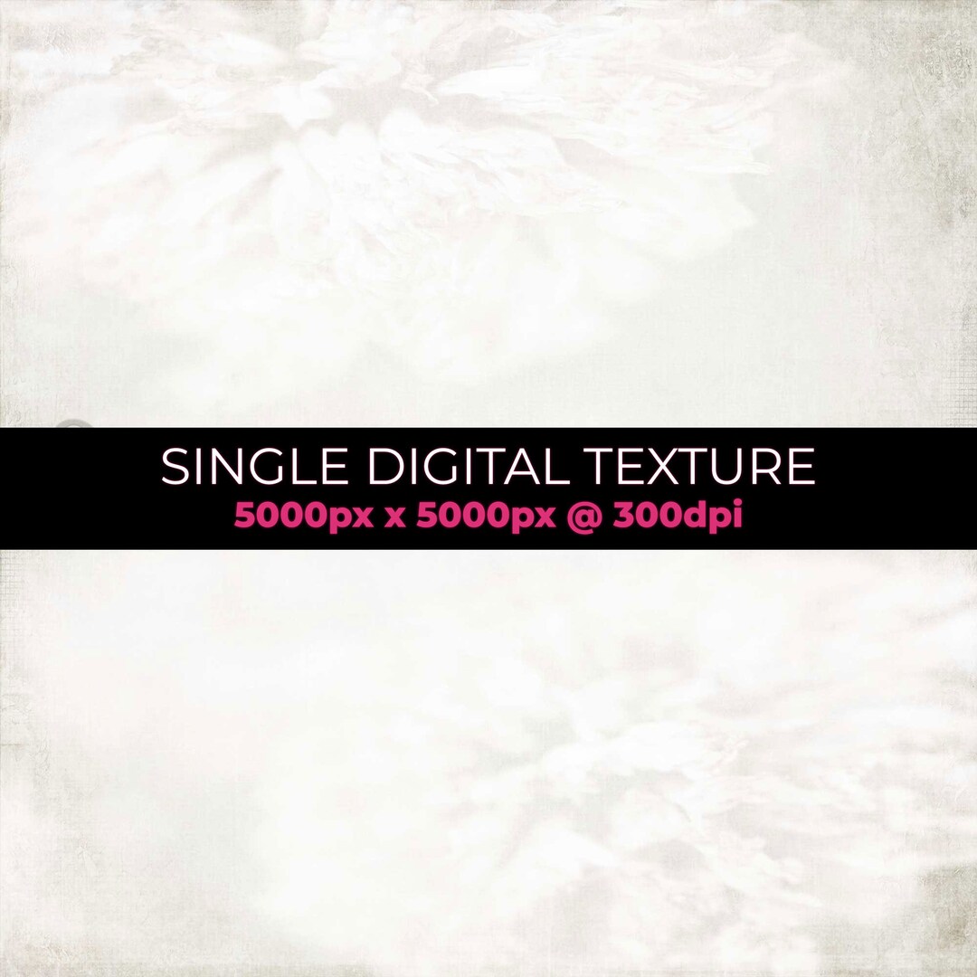 WHITE FLORAL - Digital Background / Texture / Overlay / Digital Paper ...