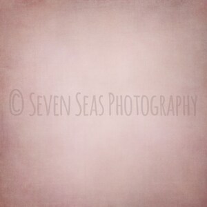 8 Pink Digital Backgrounds for Photography, Video, Portraits, Graphic ...