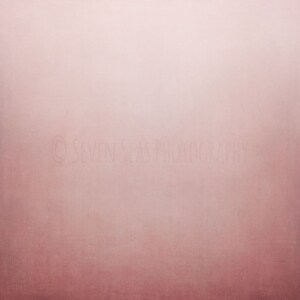 8 Pink Digital Backgrounds for Photography, Video, Portraits, Graphic ...