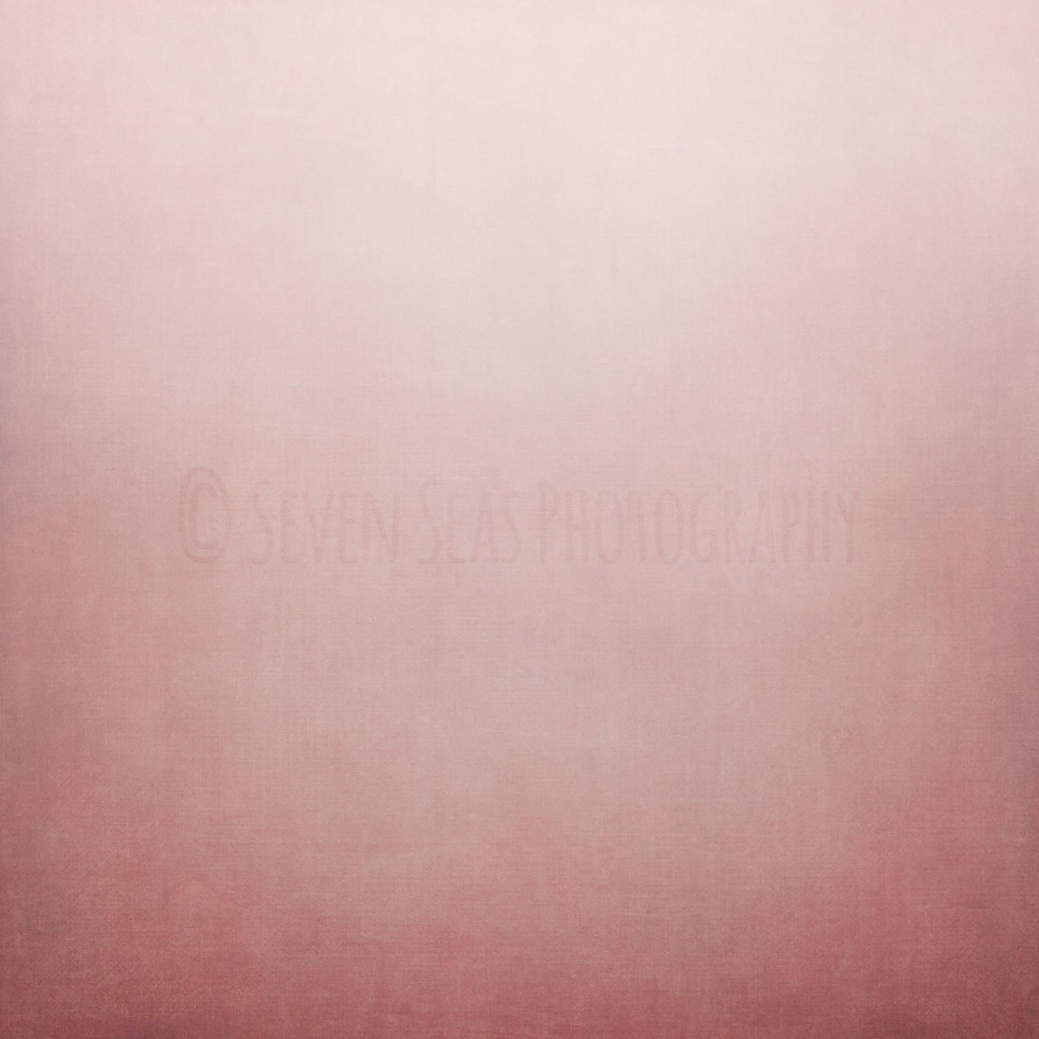 8 Pink Digital Backgrounds for Photography Video Portraits | Etsy