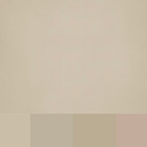 4 DIGITAL BACKGROUNDS - Boldly Beige! Use for Photography, Photoshop ...