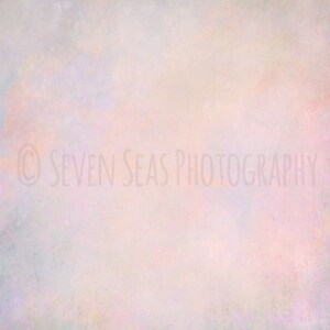 8 Pink Digital Backgrounds for Photography, Video, Portraits, Graphic ...
