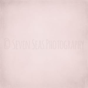 8 Pink Digital Backgrounds for Photography, Video, Portraits, Graphic ...