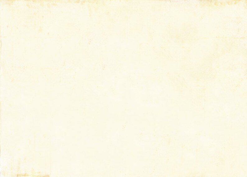 VANILLA CREAM Digital Paper/Overlay/Texture/Background | Etsy