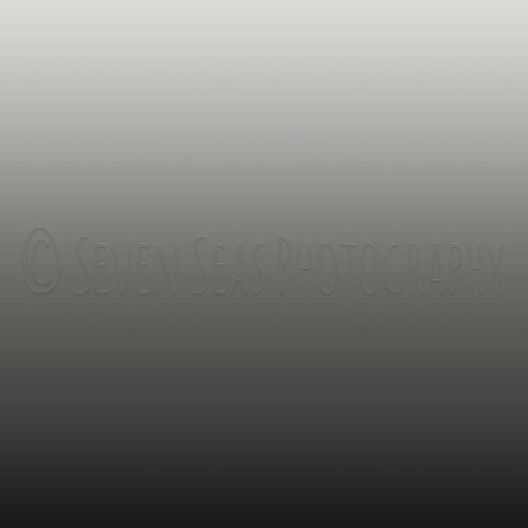 GREY_WHITE GRADIENT Digital Background, Overlay, . Jpg File, Download ...