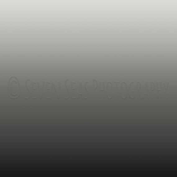 Grey Gradient Background
