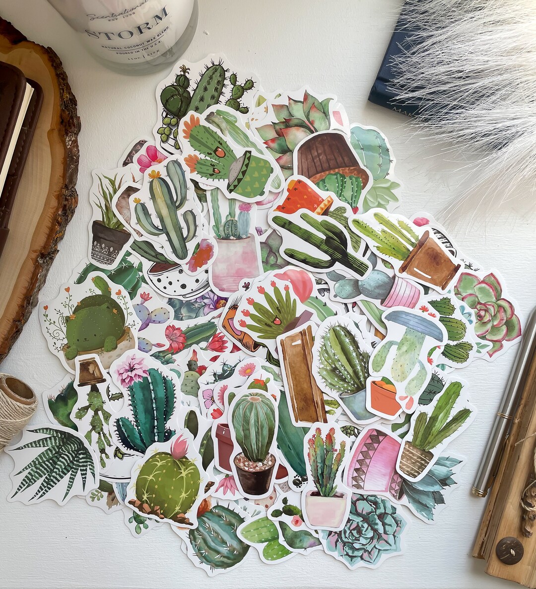 Cactus Sticker Set: 105 Waterproof Vinyl Decals - Etsy