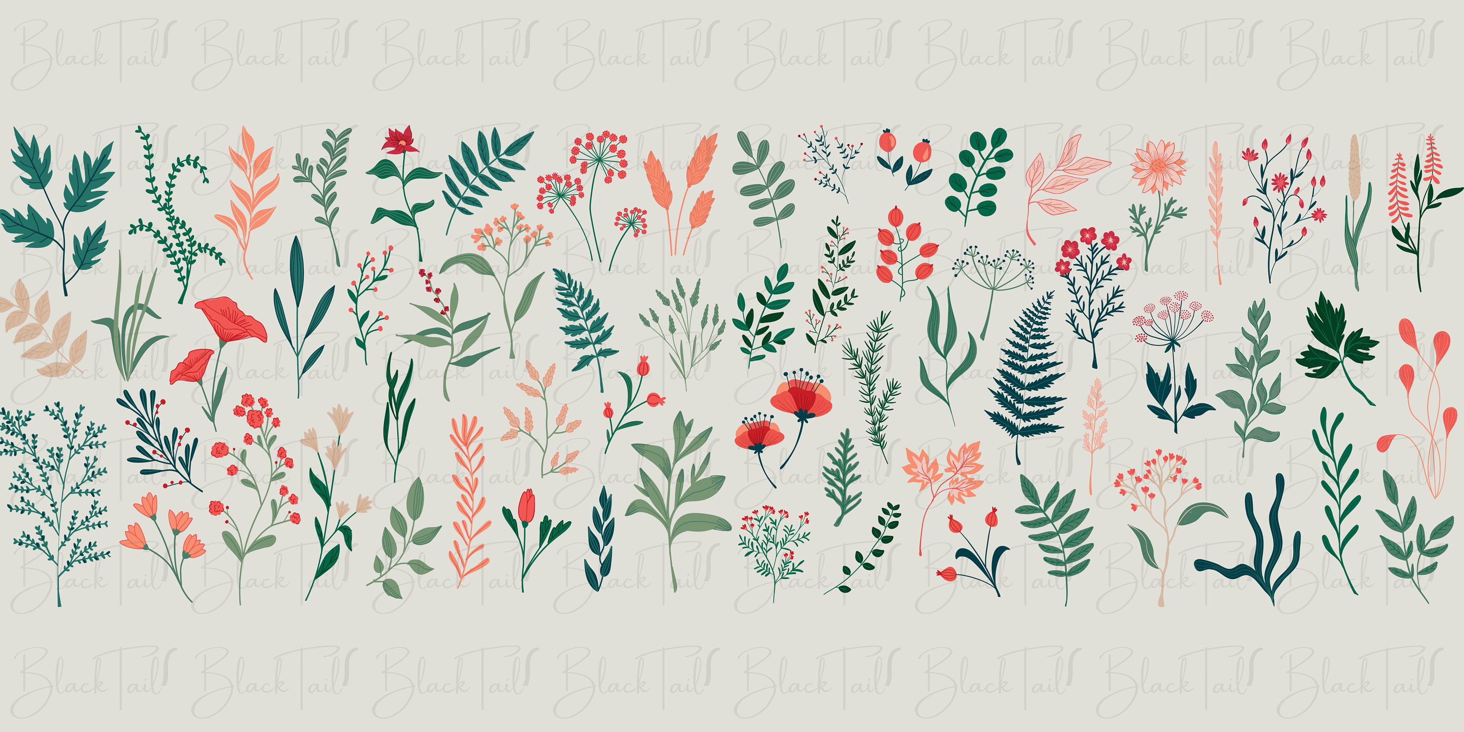 Colored Floral Line Art, Bouquet Bundle, Decorative Elements, Botanical ...