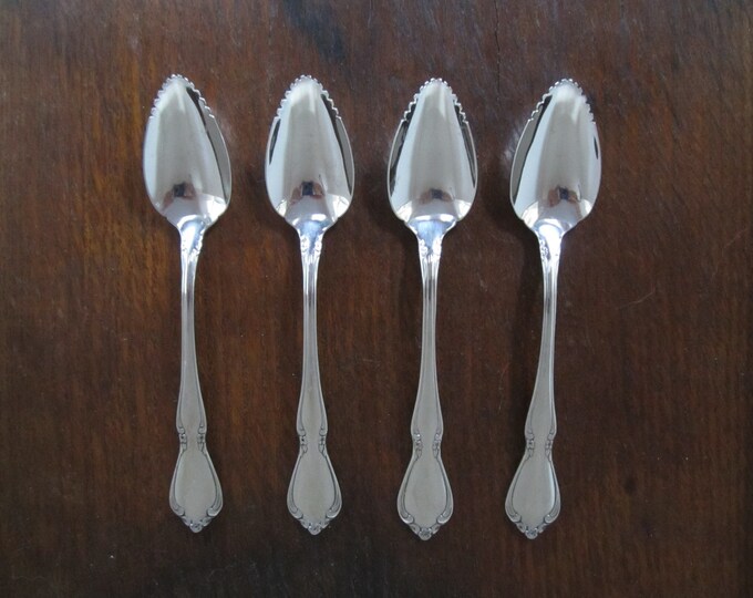 4-pc Chateau Serrated Fruit Spoon by Oneida Stainless Oneidacraft ...