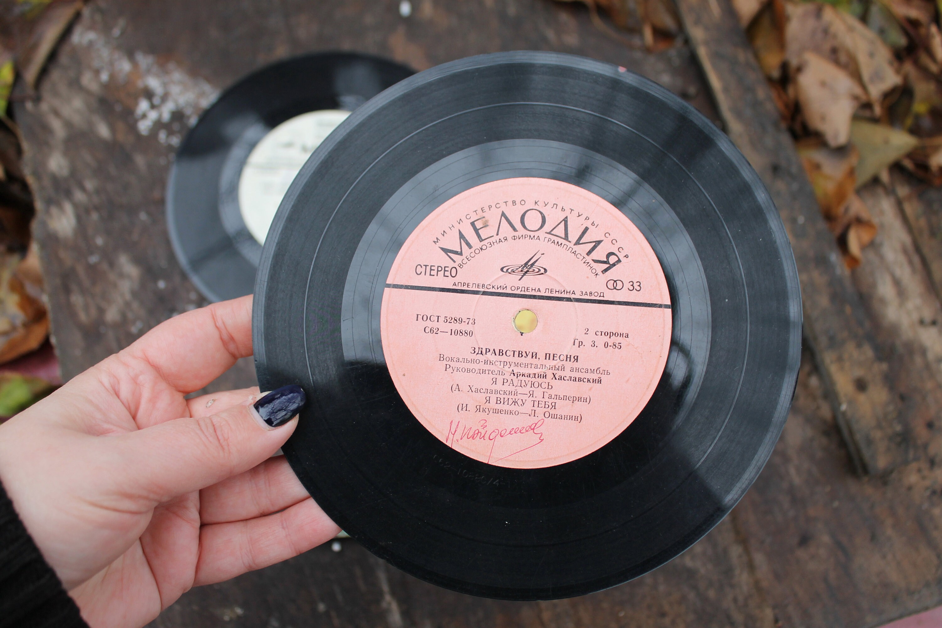 Set of Two Retro Music Plates Sung by Band hello - Etsy