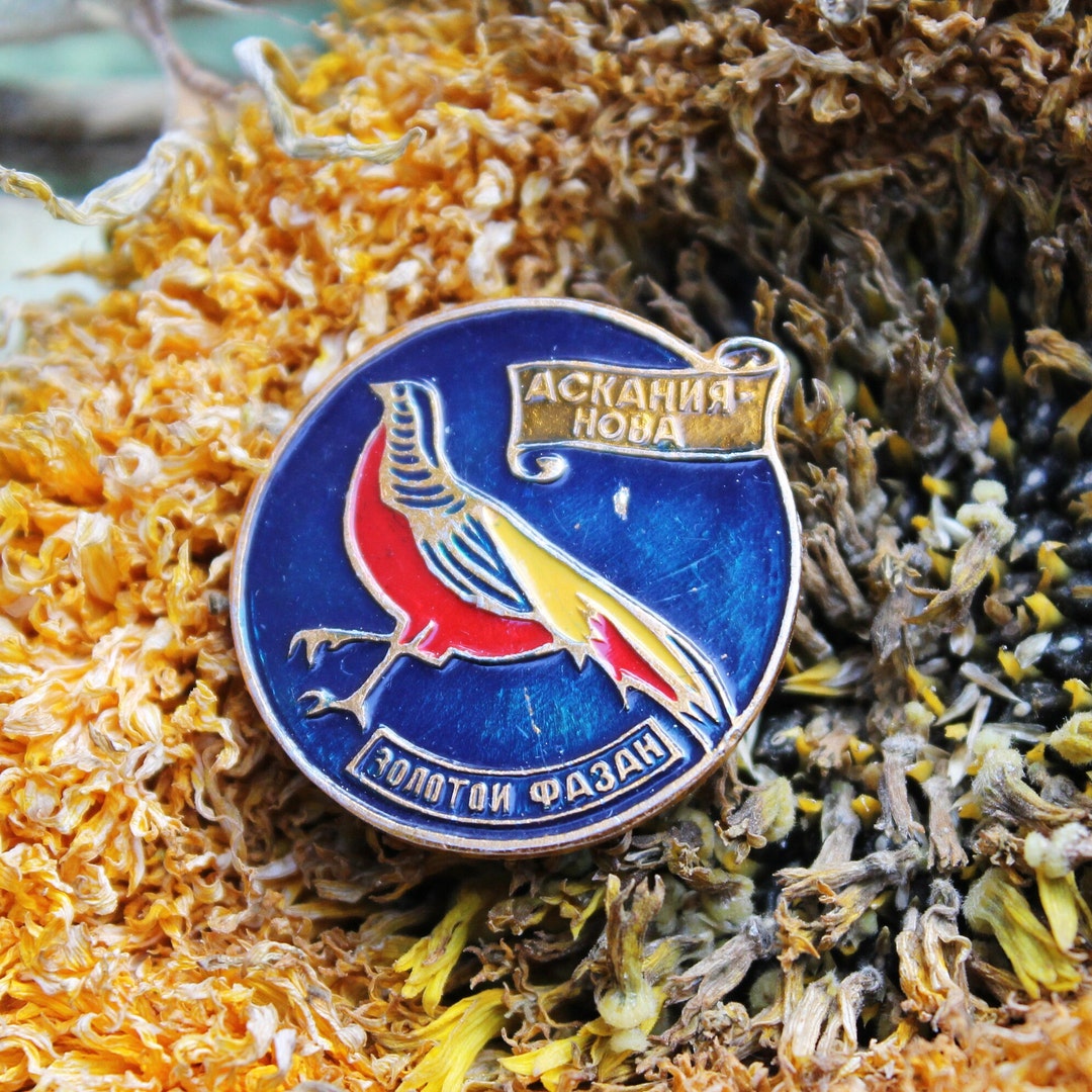 Vintage Soviet USSR Pin Badge Pheasant USSR Pin Vintage Soviet Badge ...