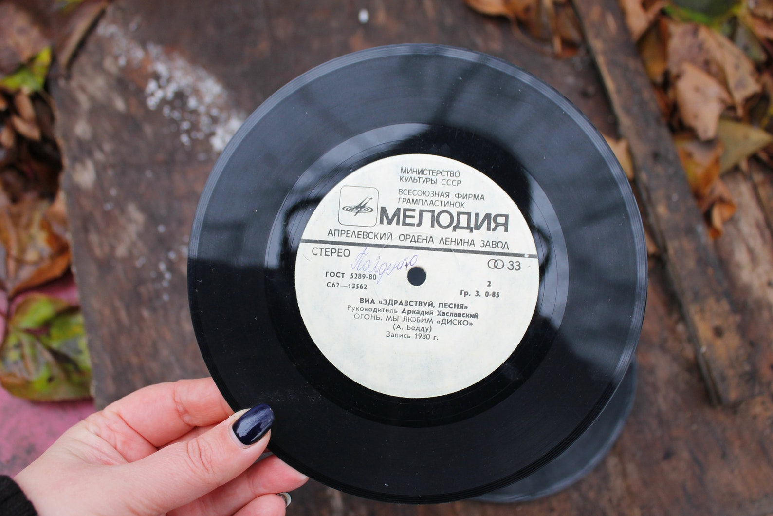 Set of Two Retro Music Plates Sung by Band hello - Etsy