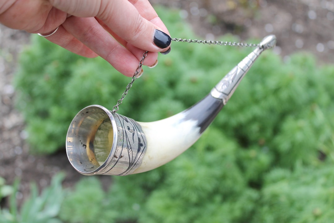 Genuine Cow Horn on the Chain - Viking Wild Drinking Horn - Soviet Horn ...