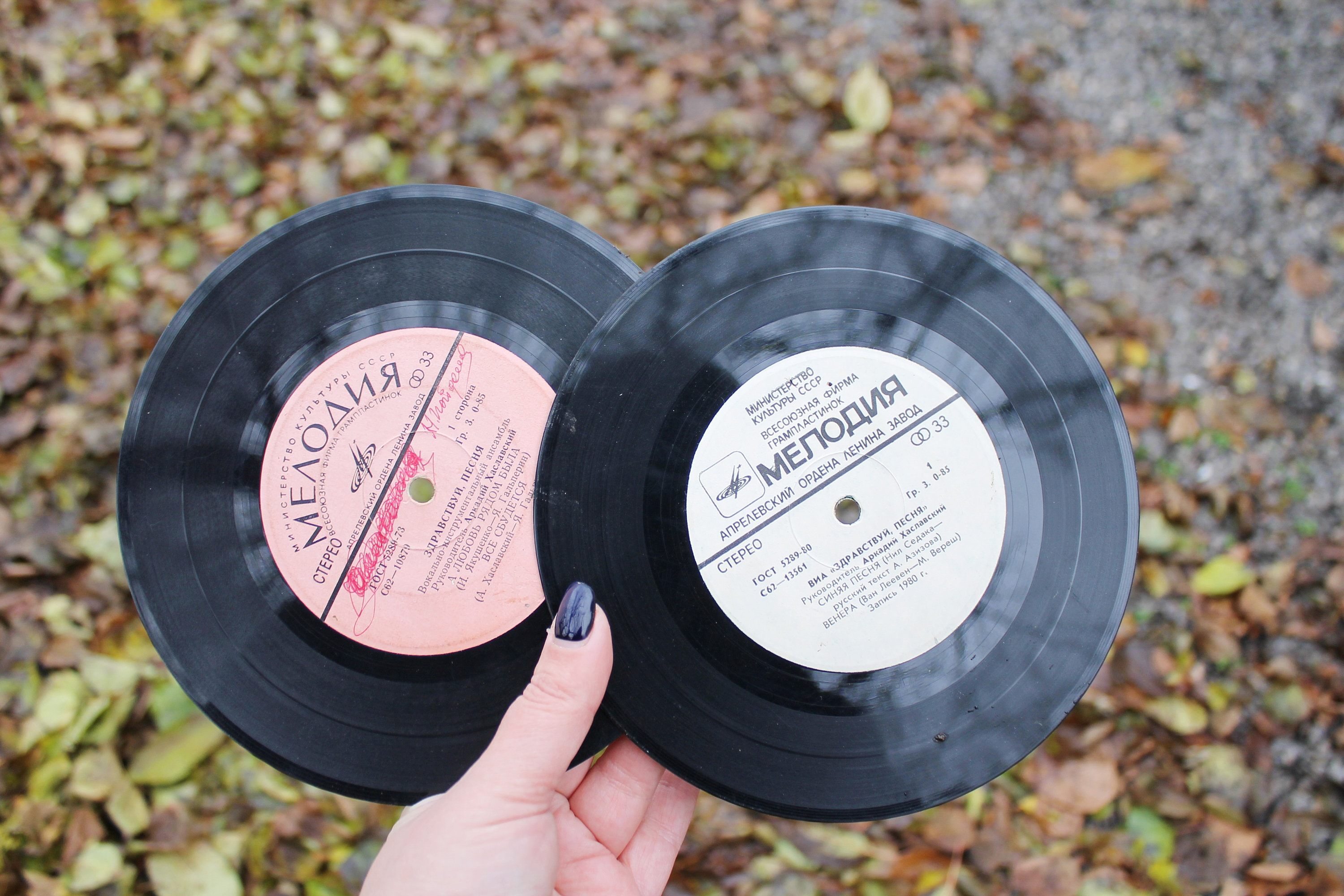 Set of Two Retro Music Plates Sung by Band hello - Etsy