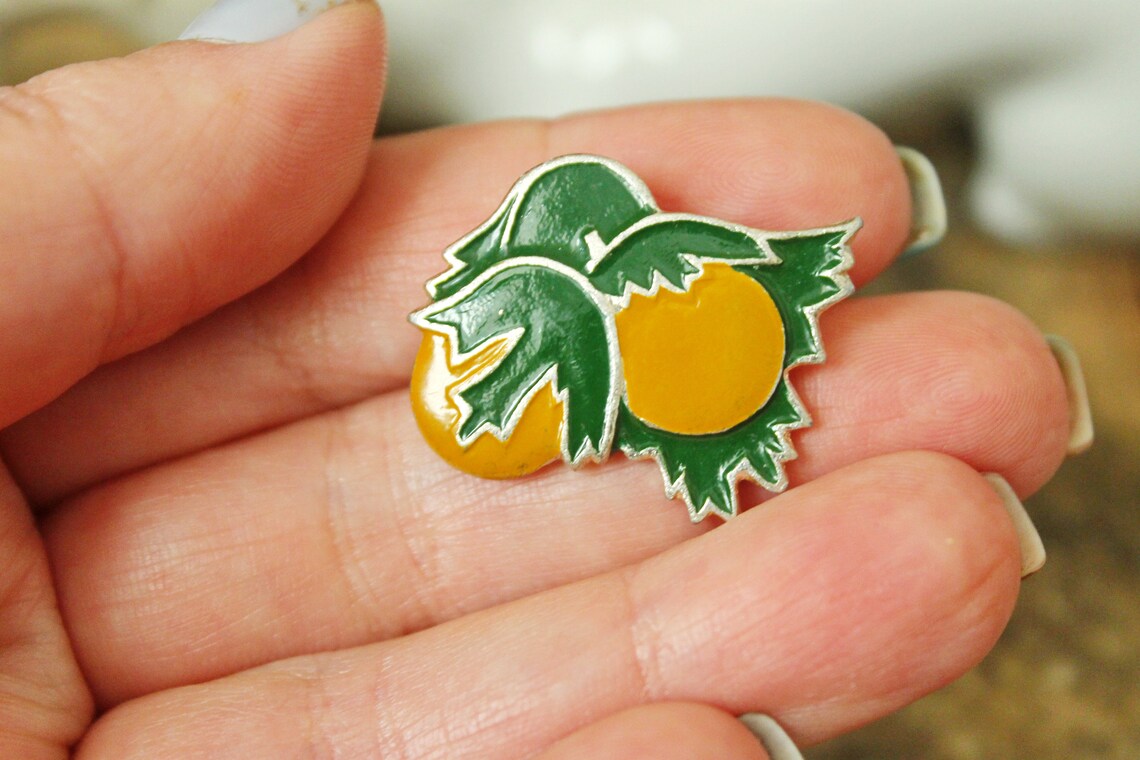 Nuts Small Pin - Vintage Soviet USSR Pin Badge - Nutlet Pin Badge, Made ...