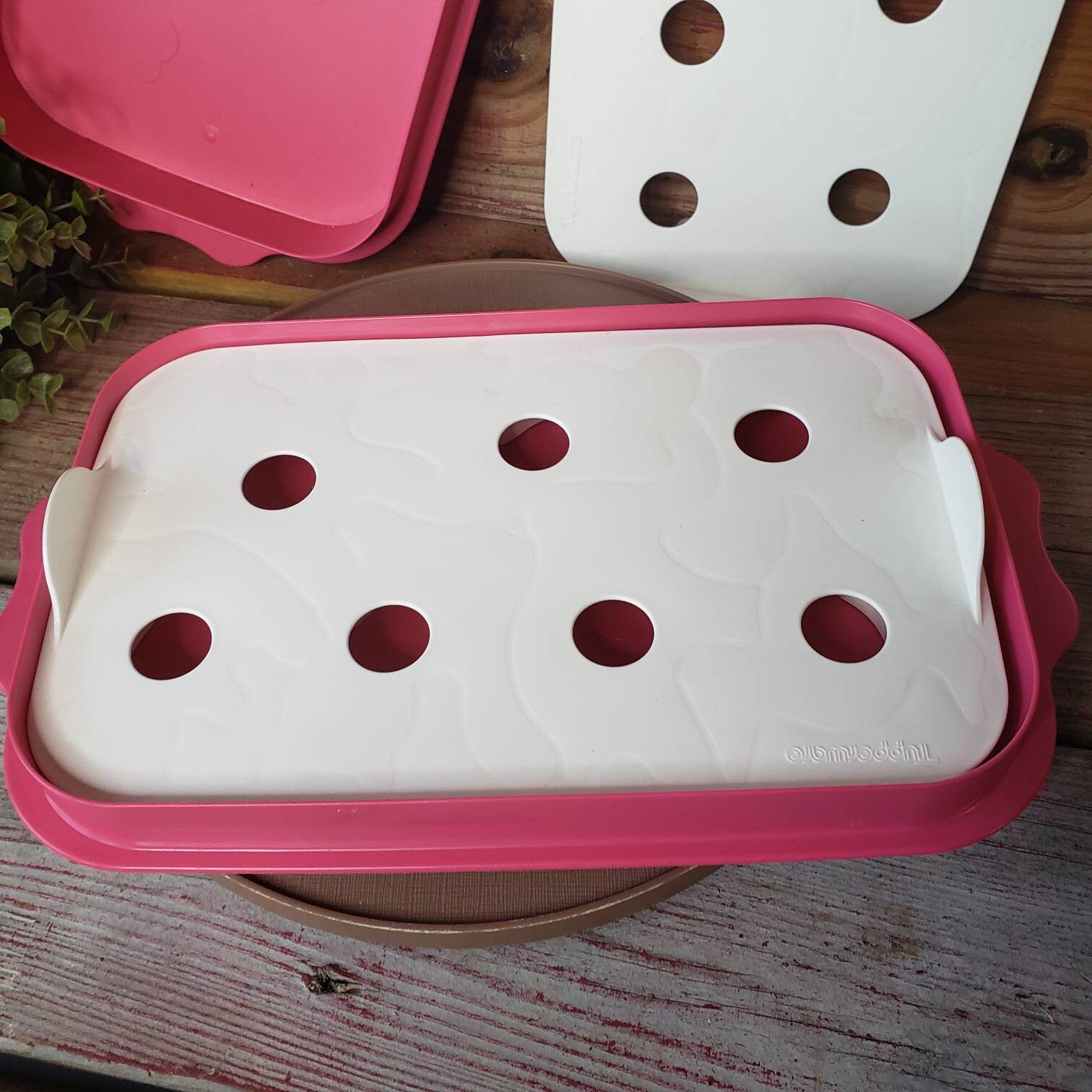 Tupperware Animal Wigglers Jello or Cookie Mold 2553a-1 23 - Etsy